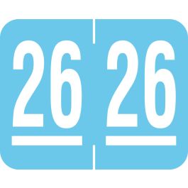 Tab Compatible 2026 Year Label, 1-1/4" x 1" | United Ad Label