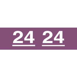 Ames Compatible 2024 Year Label, 1-3/4" x 1/2" | United Ad Label